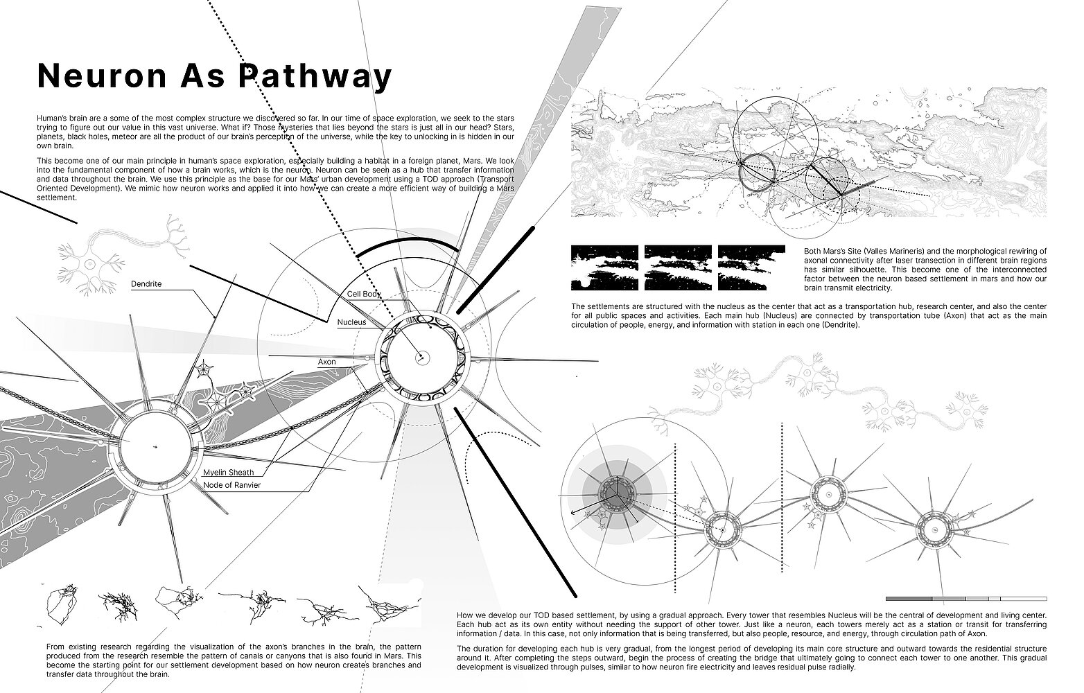 Jacques Rougerie Database : NeuroScape - Where Innovation Meets Nature