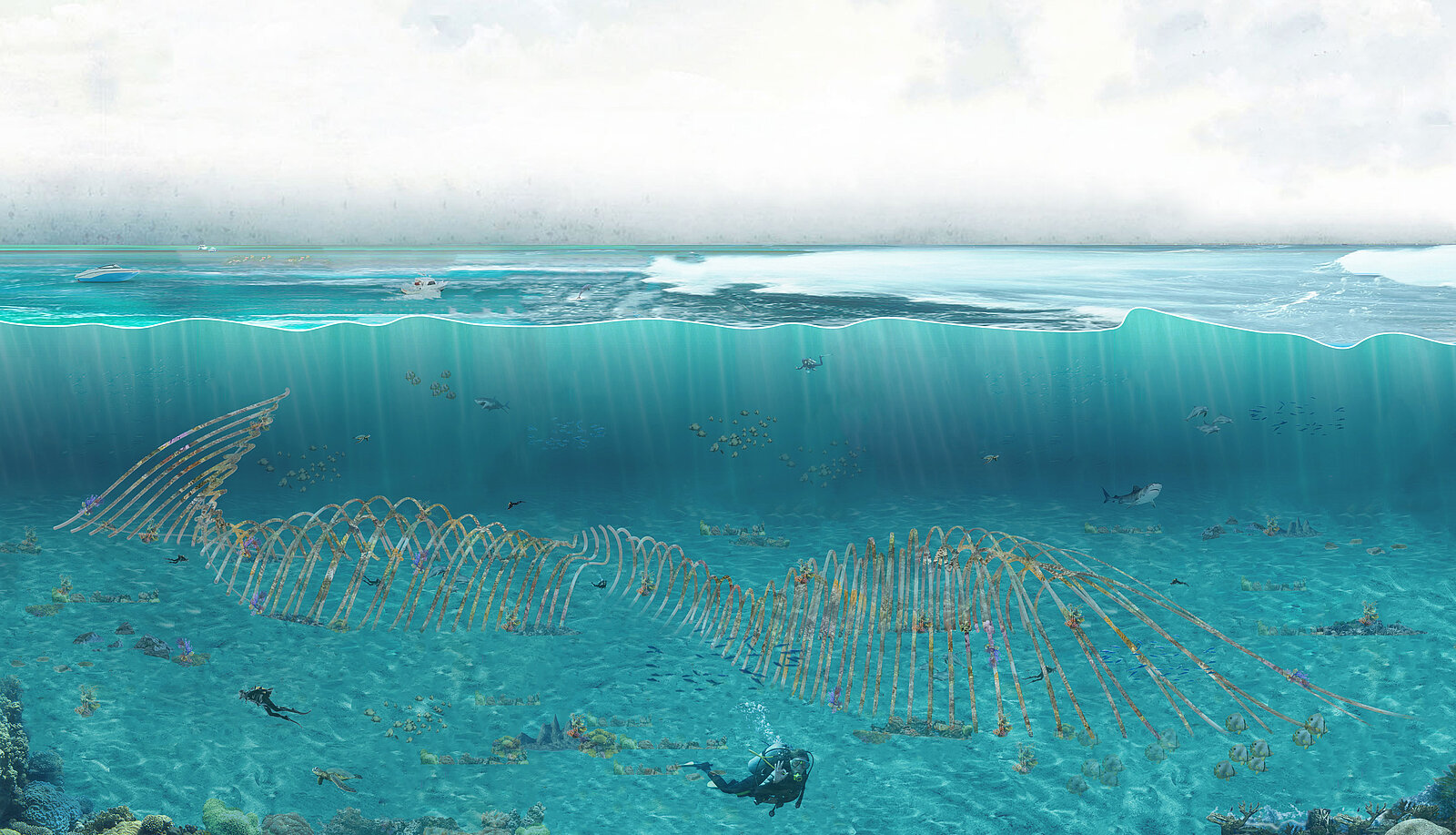 Jacques Rougerie Database : Whale Fall - Biomimetic Design Centered ...